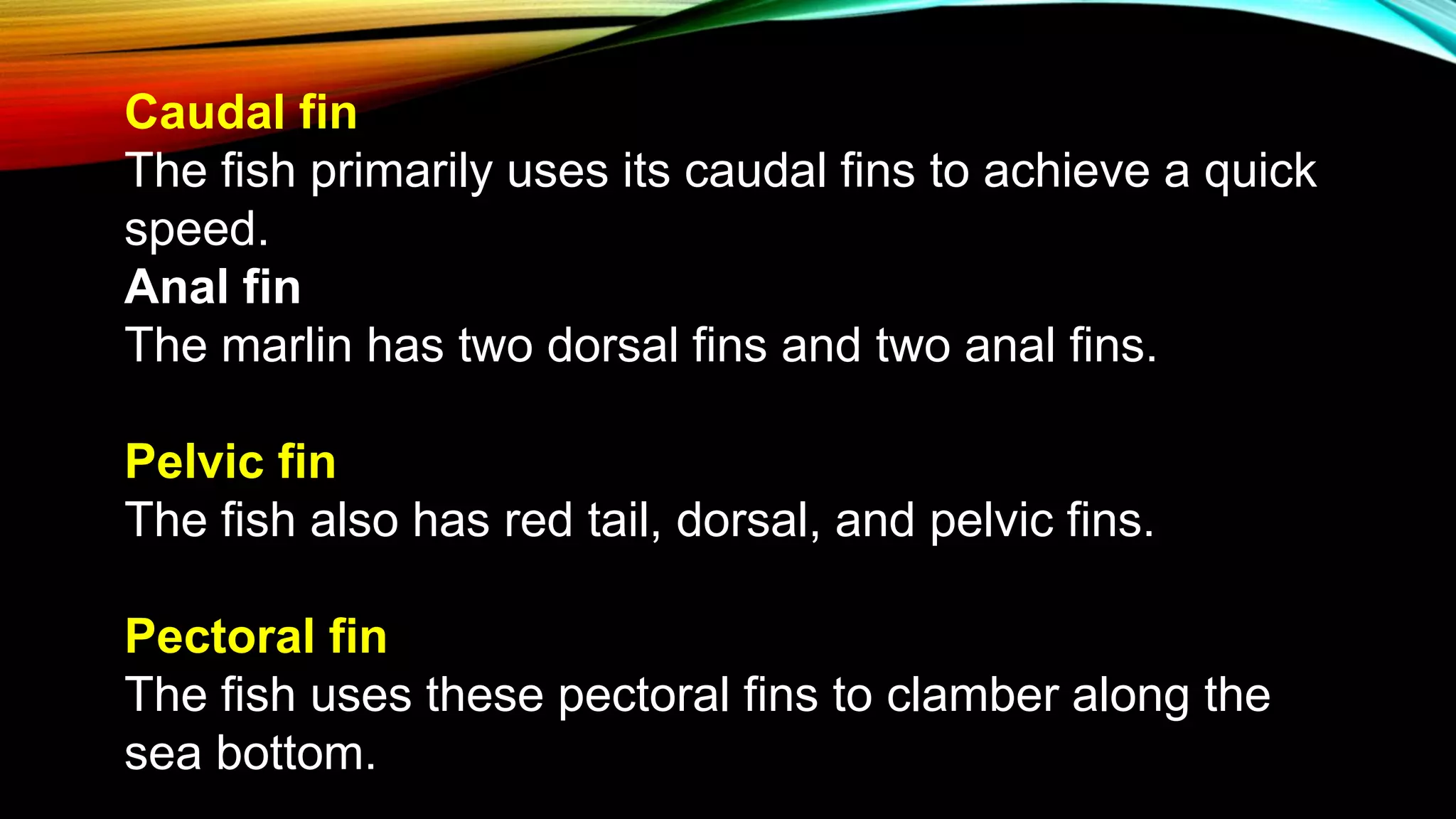 PARTS OF A FISH.pptx