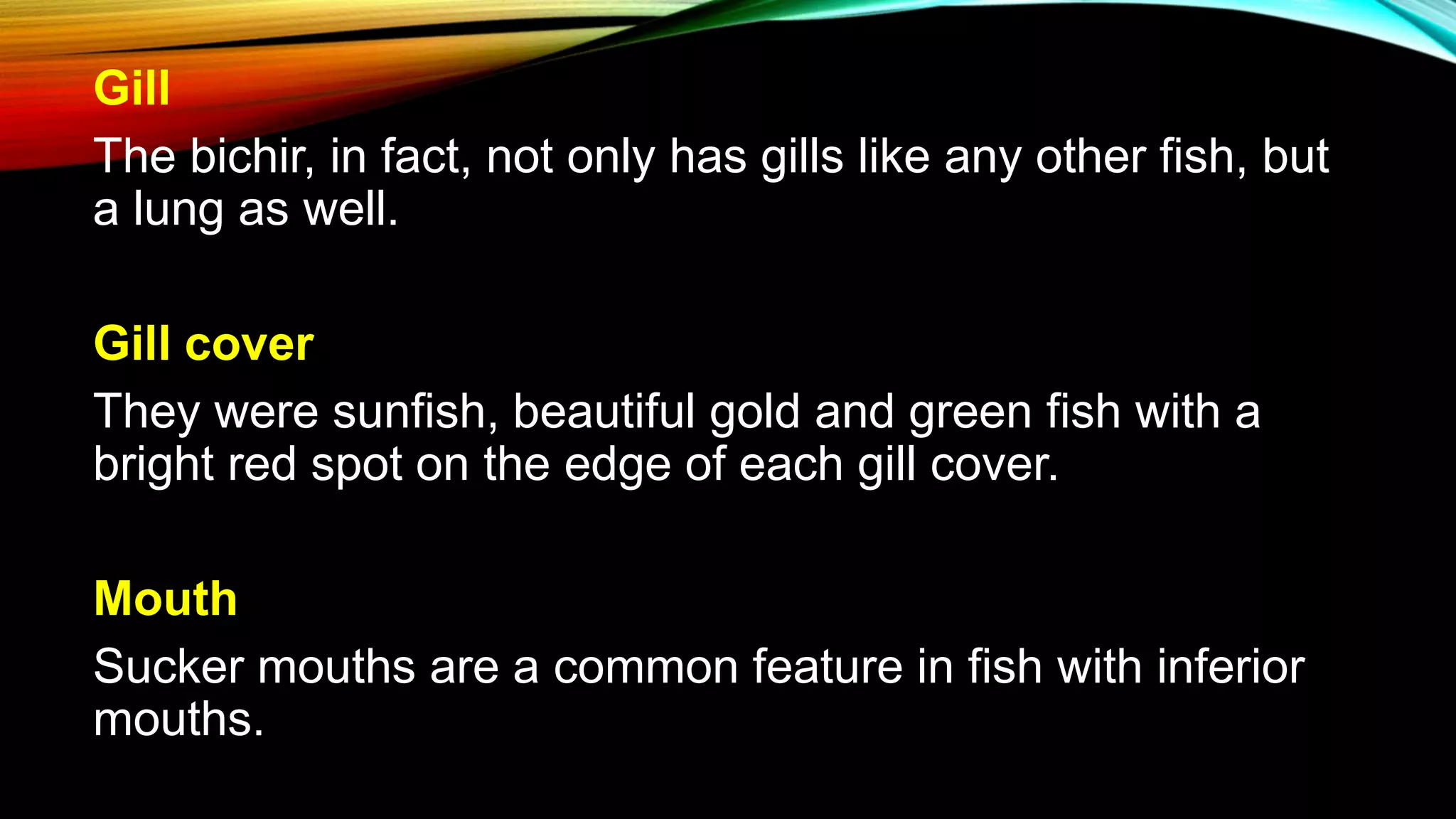 PARTS OF A FISH.pptx