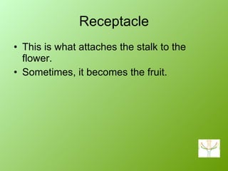 Parts+of+a+flower | PPT