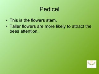 Parts+of+a+flower | PPT