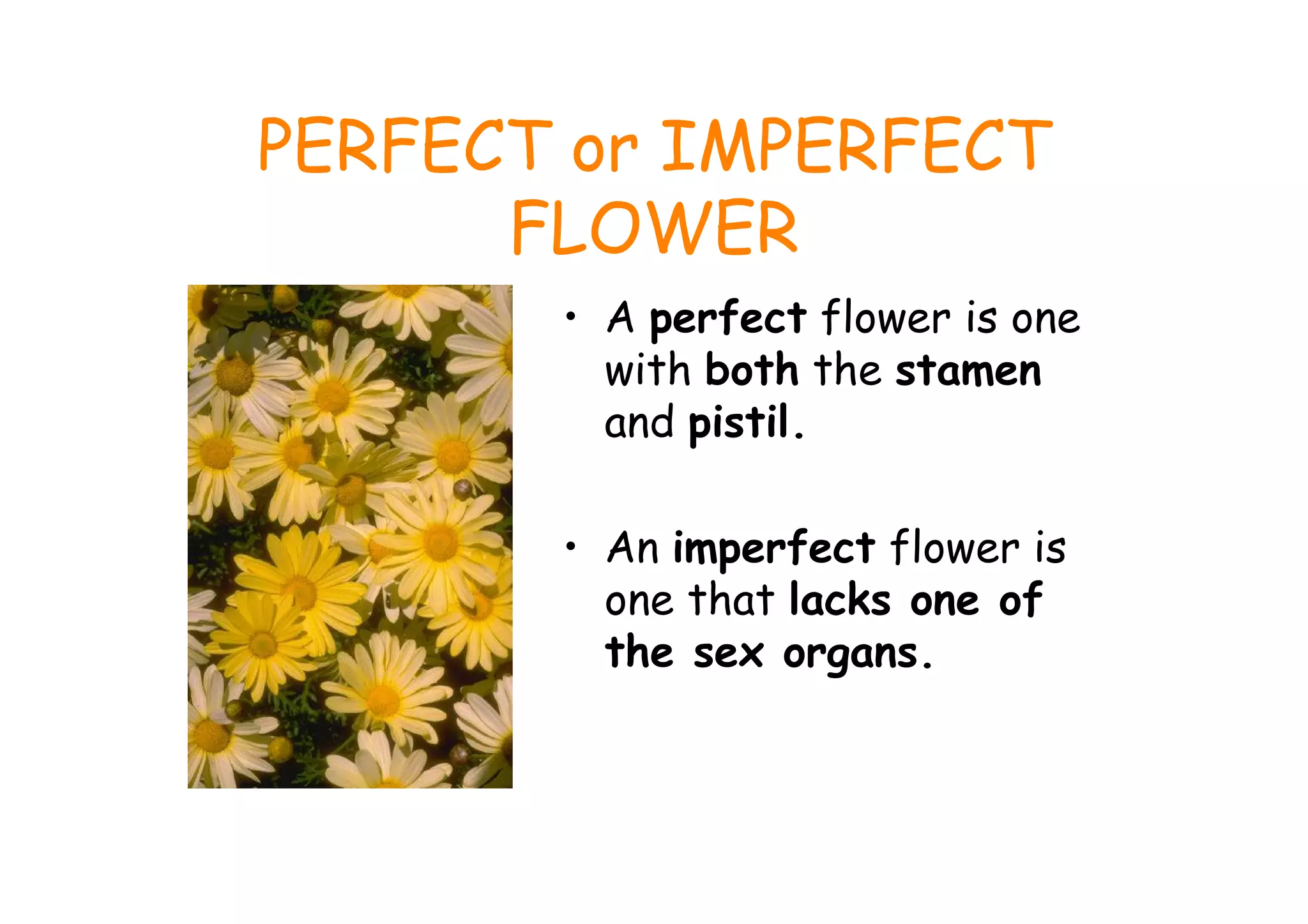 Parts of a flower | PDF
