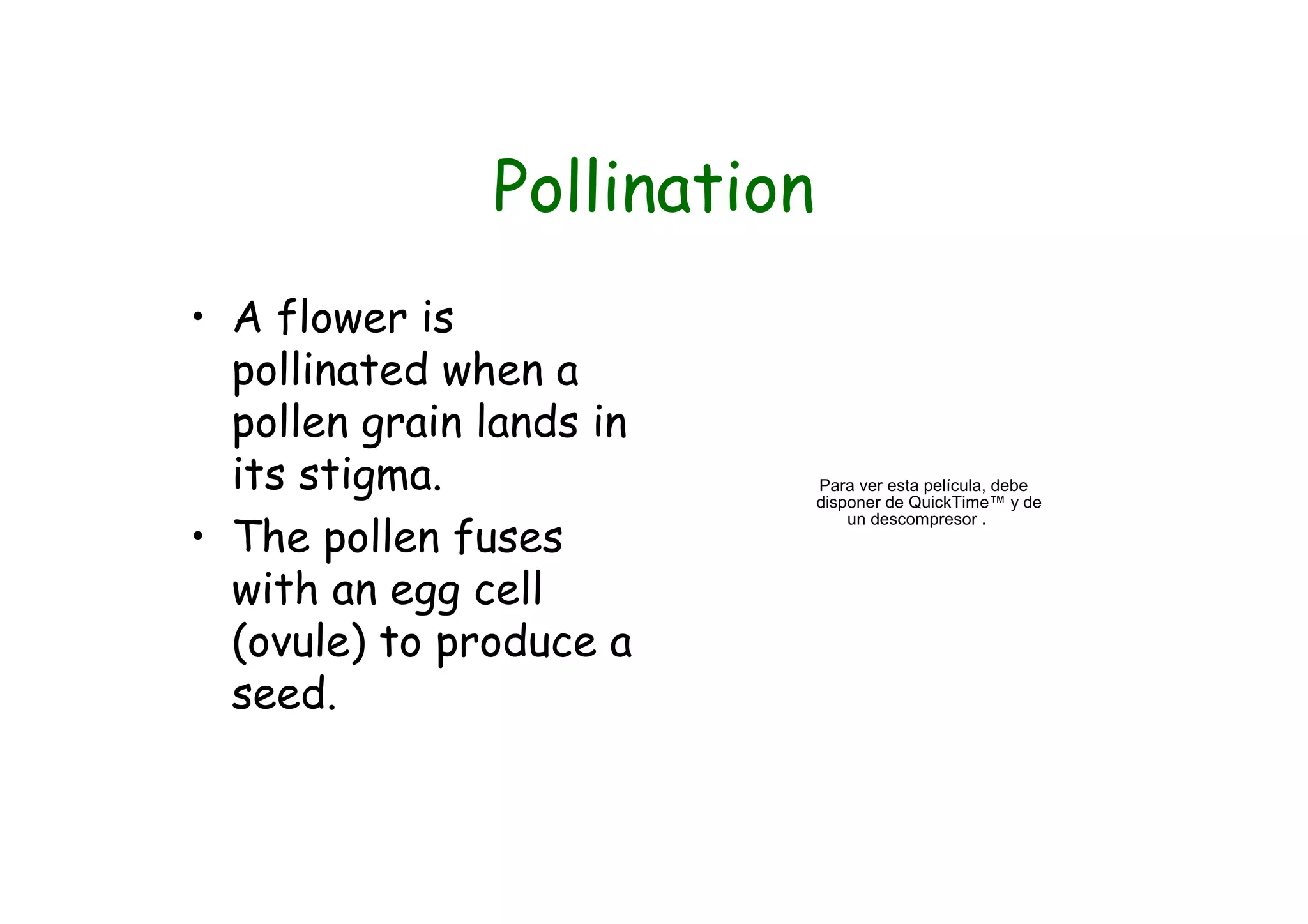 Parts of a flower | PDF