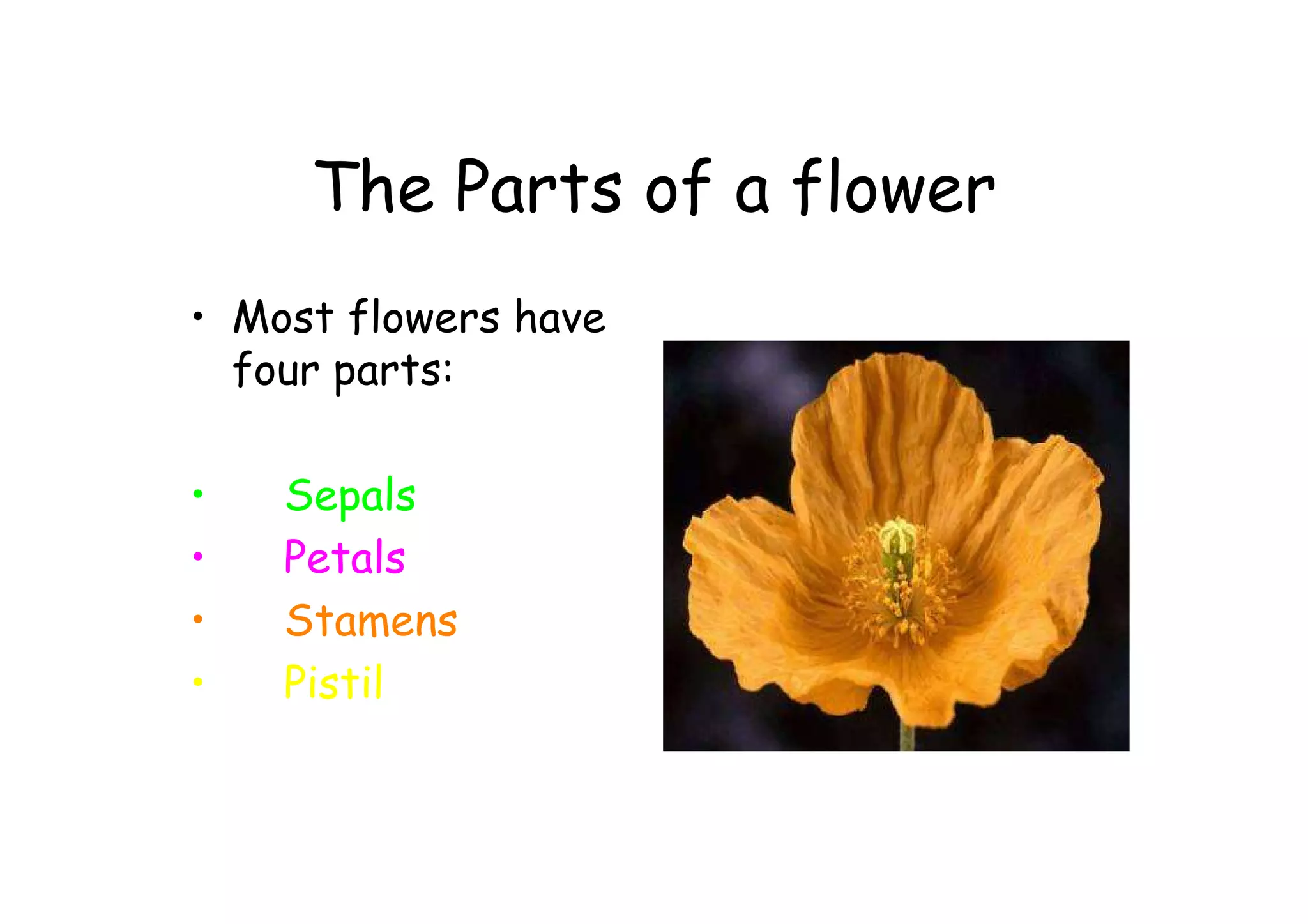 Parts of a flower | PDF
