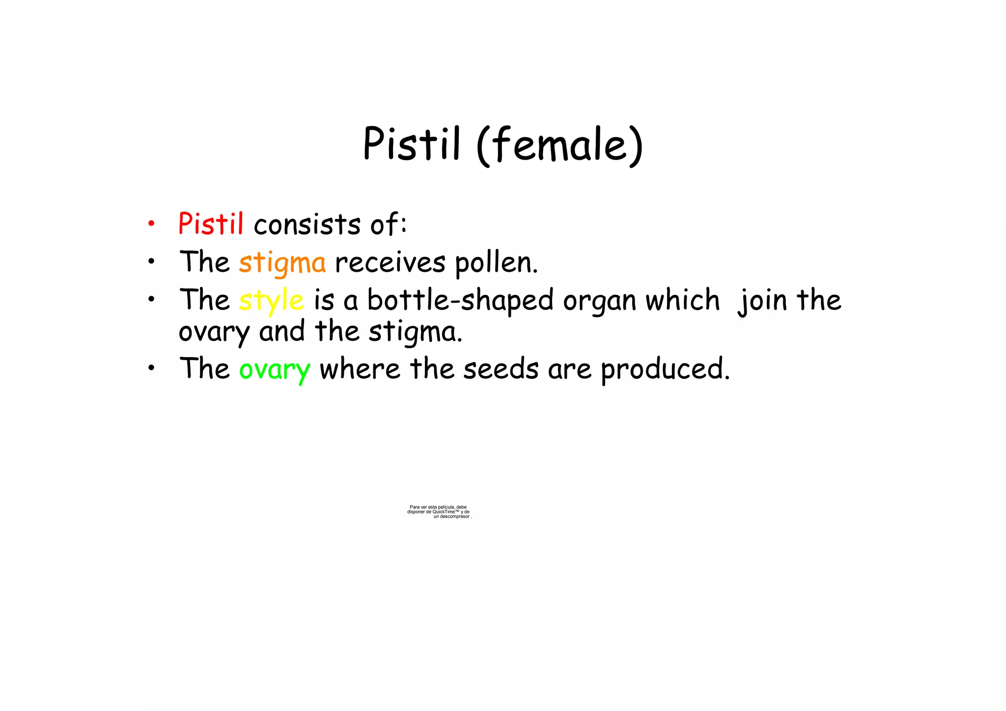 Parts of a flower | PDF