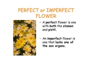 Parts of a flower | PDF