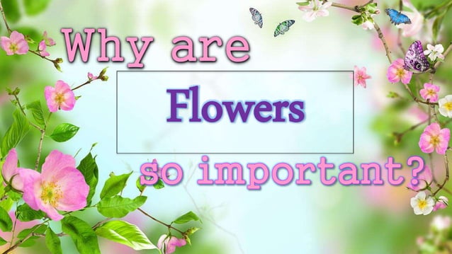 Why are flowers so important? | PPTX