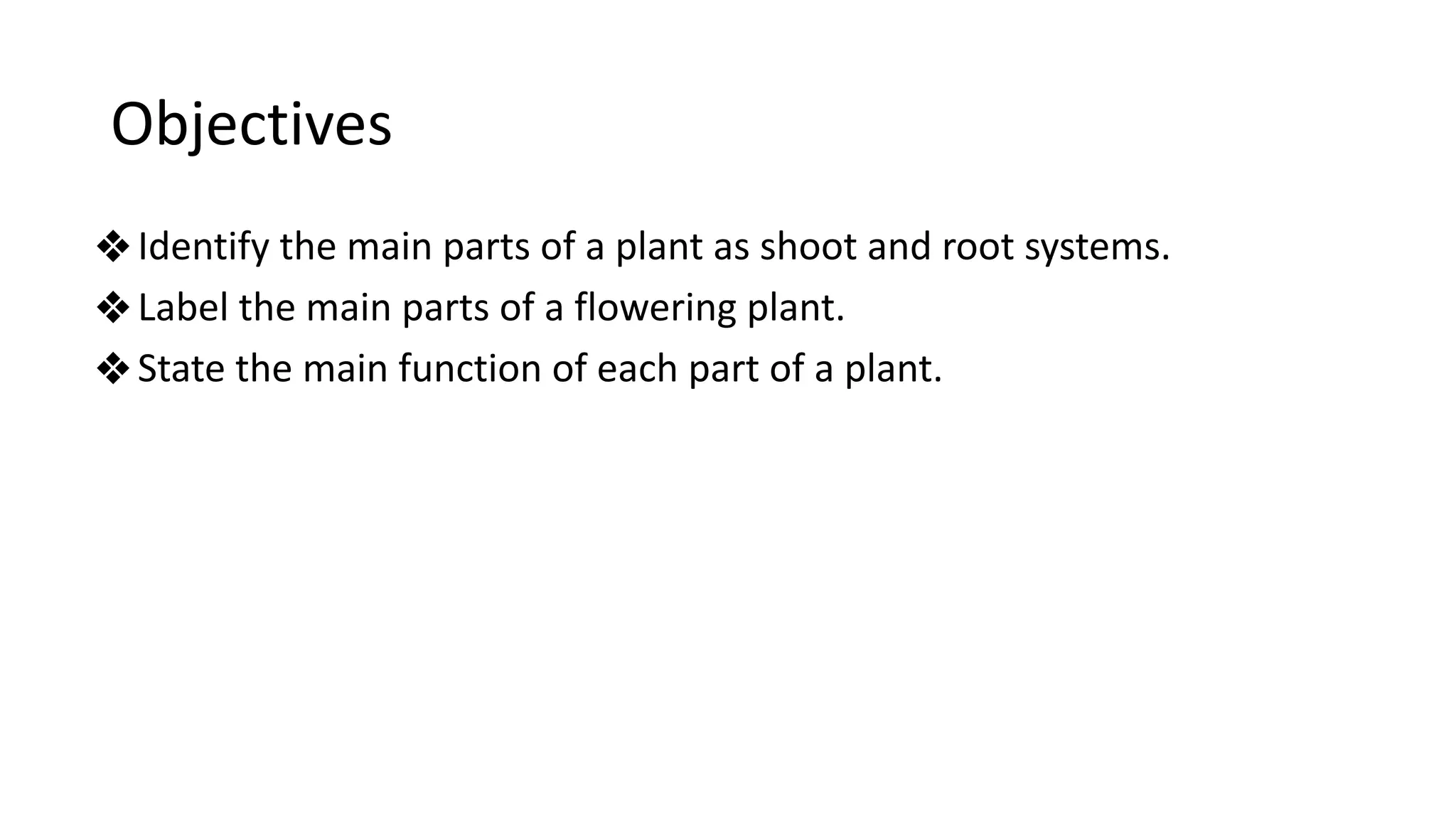 Parts of a Flowering Plant PRESENTATIONS | PDF | Gardening | Home & Garden