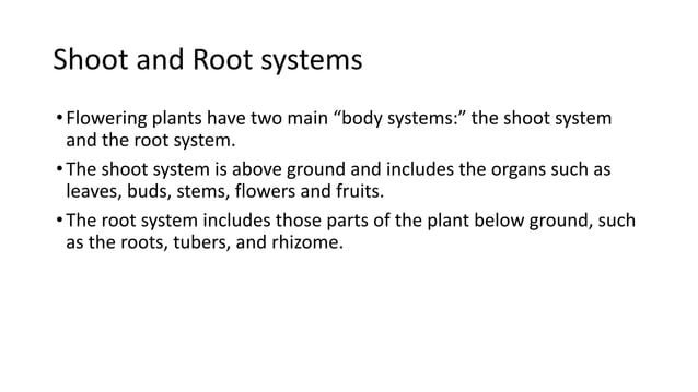 Parts of a Flowering Plant PRESENTATIONS | PPT