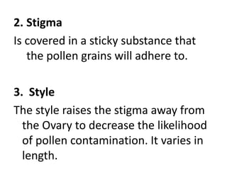 Parts of a flower | PPTX