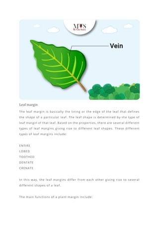 Parts of a Leaf and Their Life Saving Functions | PDF