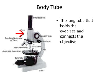 Parts of a microscope | PPTX