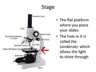 Parts of a microscope | PPTX