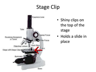 Parts of a microscope | PPTX