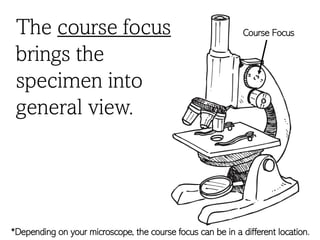 Parts of a Compound Microscope | PDF