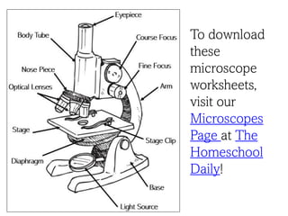 Parts of a Compound Microscope | PDF