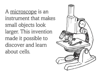Parts Of A Compound Light Microscope Worksheet