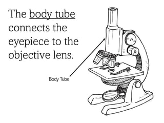 Parts of a Compound Microscope | PDF