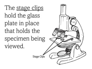 Compound Microscope Specimen Images