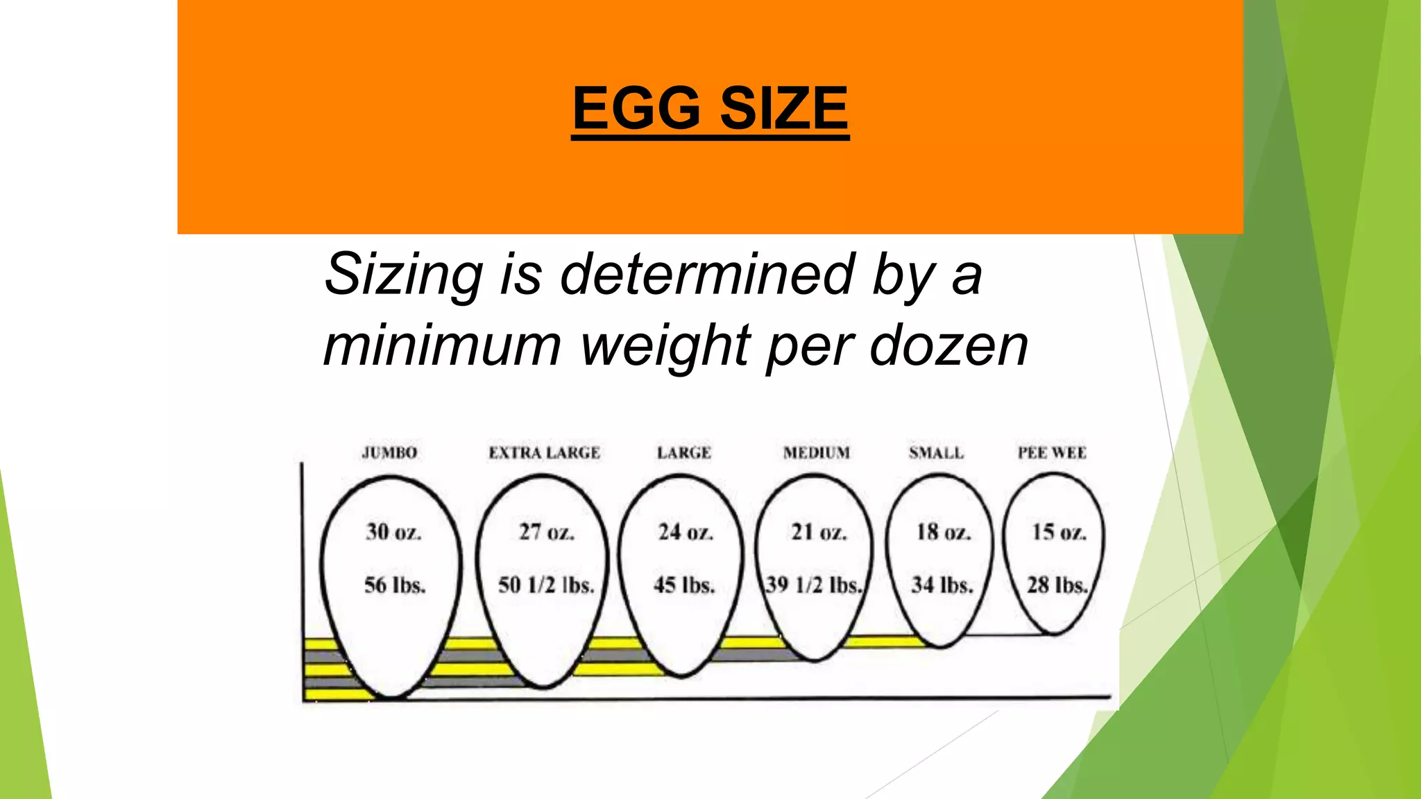 Parts of an Egg.pptx