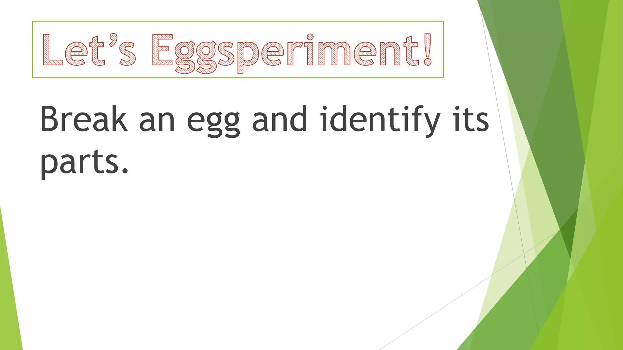 Parts of an Egg.pptx