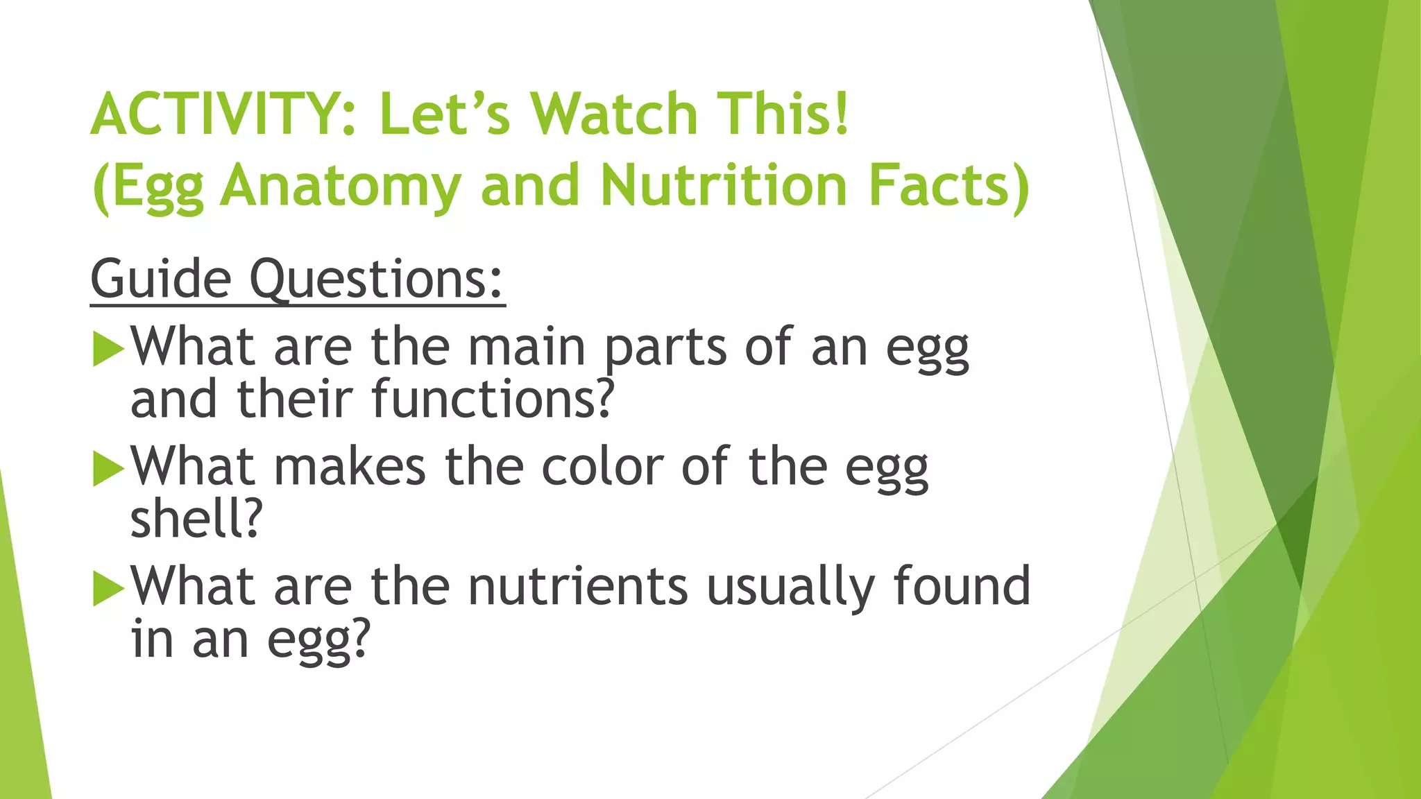 Parts of an Egg.pptx