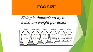 Parts of an Egg.pptx