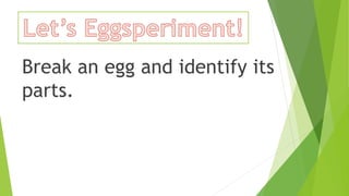 Parts of an Egg.pptx