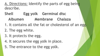 Parts of an Egg.pptx