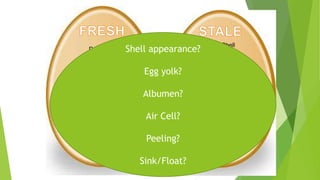 Parts of an Egg.pptx