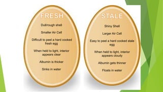Parts of an Egg.pptx