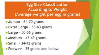 Parts of an Egg.pptx