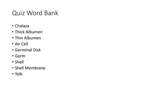 Parts of an Egg.pptx