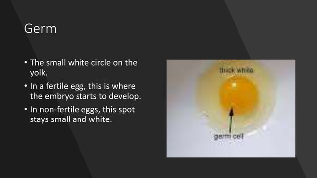 Parts of an Egg.pptx