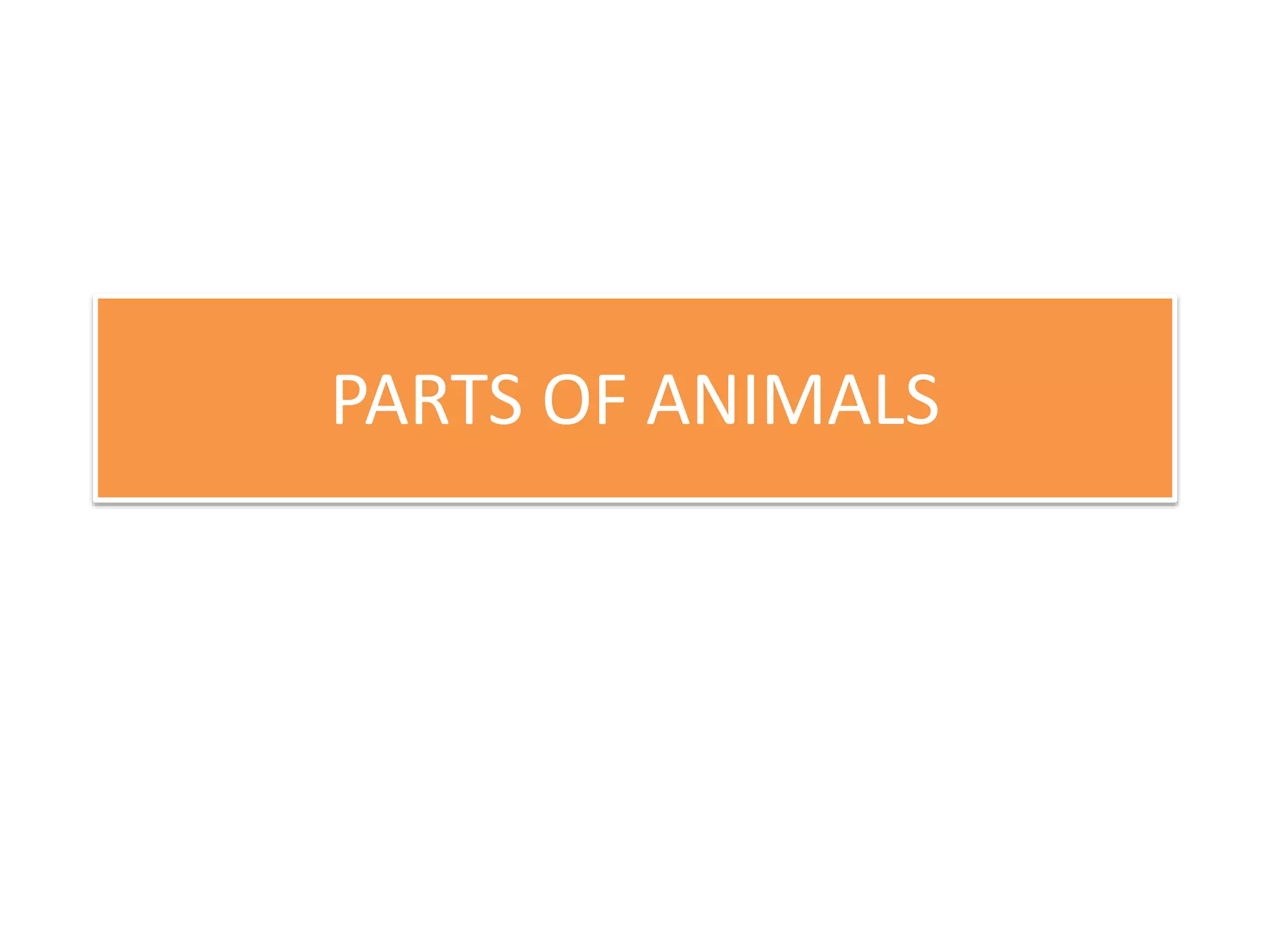 Parts of animals | PPTX