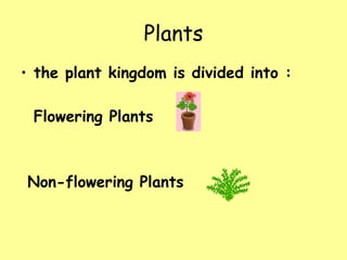 PARTS OF A PLANT year 5 and year 6 | PPT
