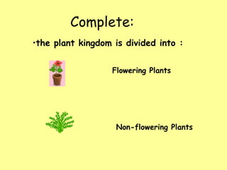 PARTS OF A PLANT year 5 and year 6 | PPT