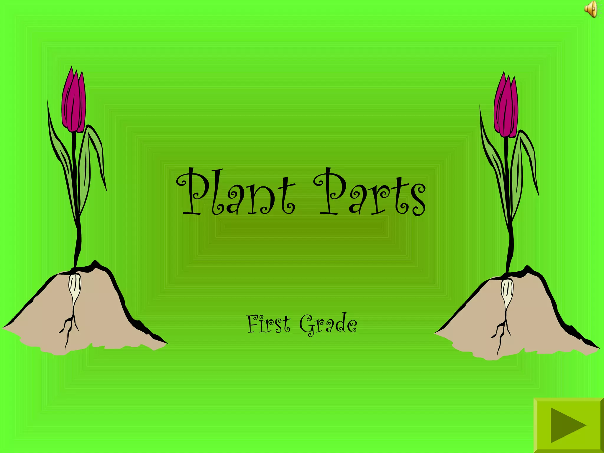 Parts of a plant | PPT