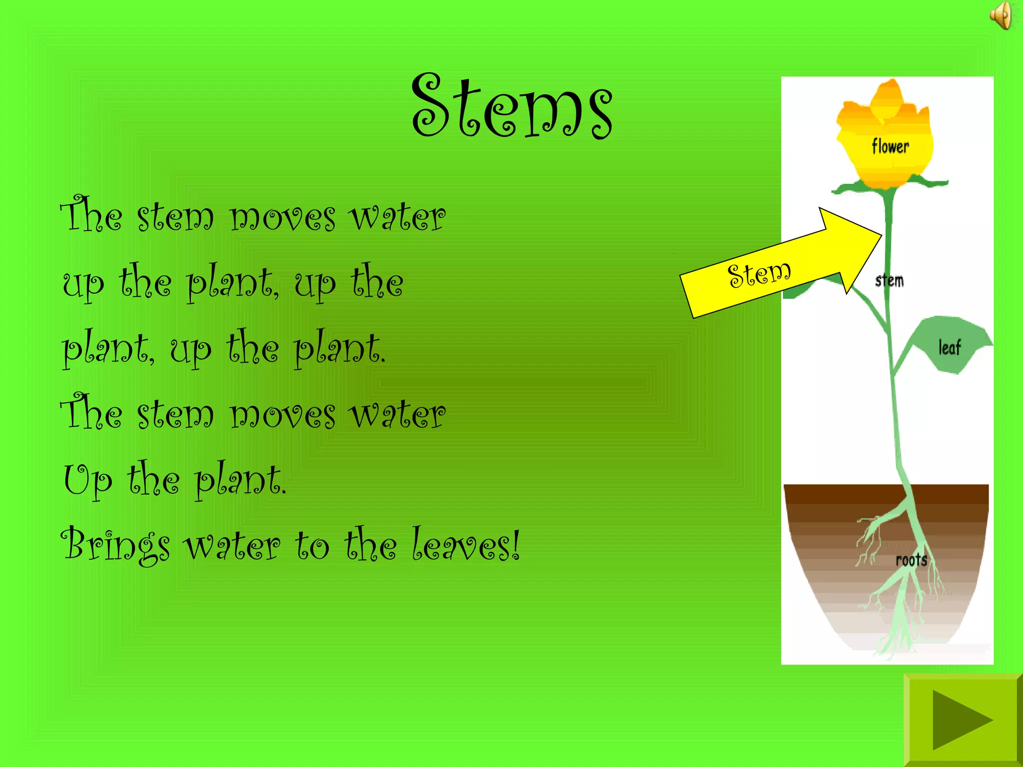 Parts of a plant | PPT