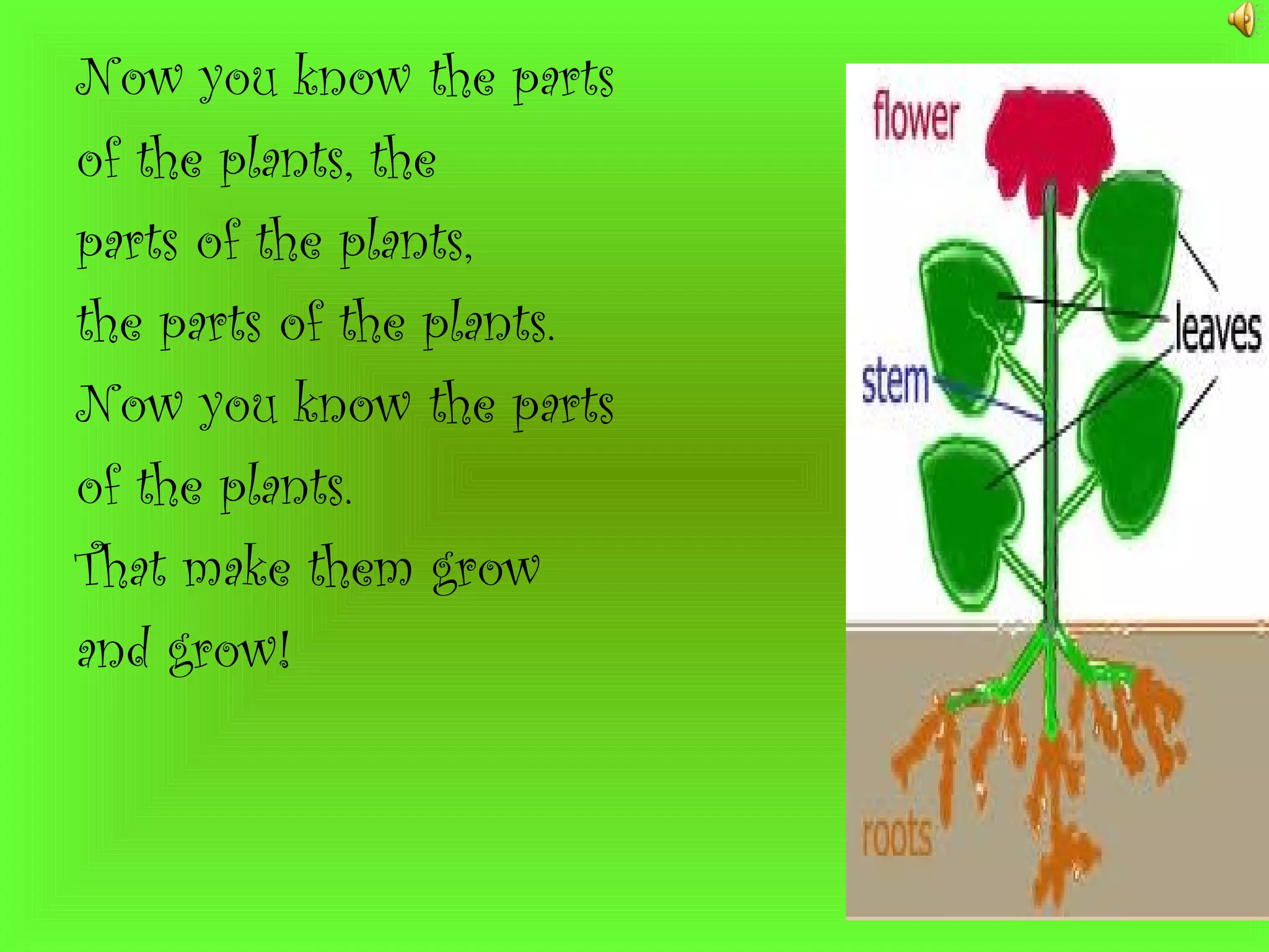 Parts of a plant | PPT