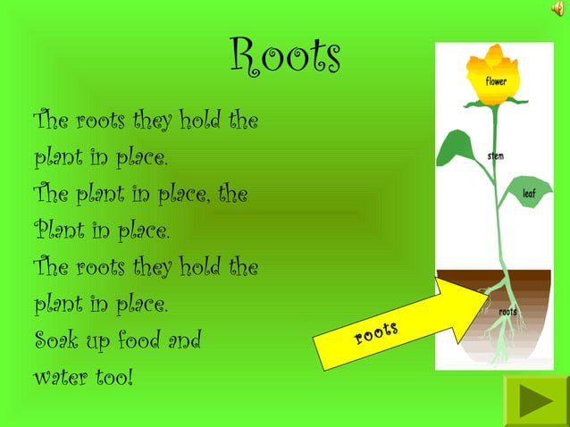 Parts of a plant | PPT