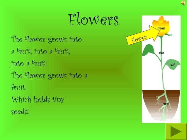 Parts of a plant | PPT