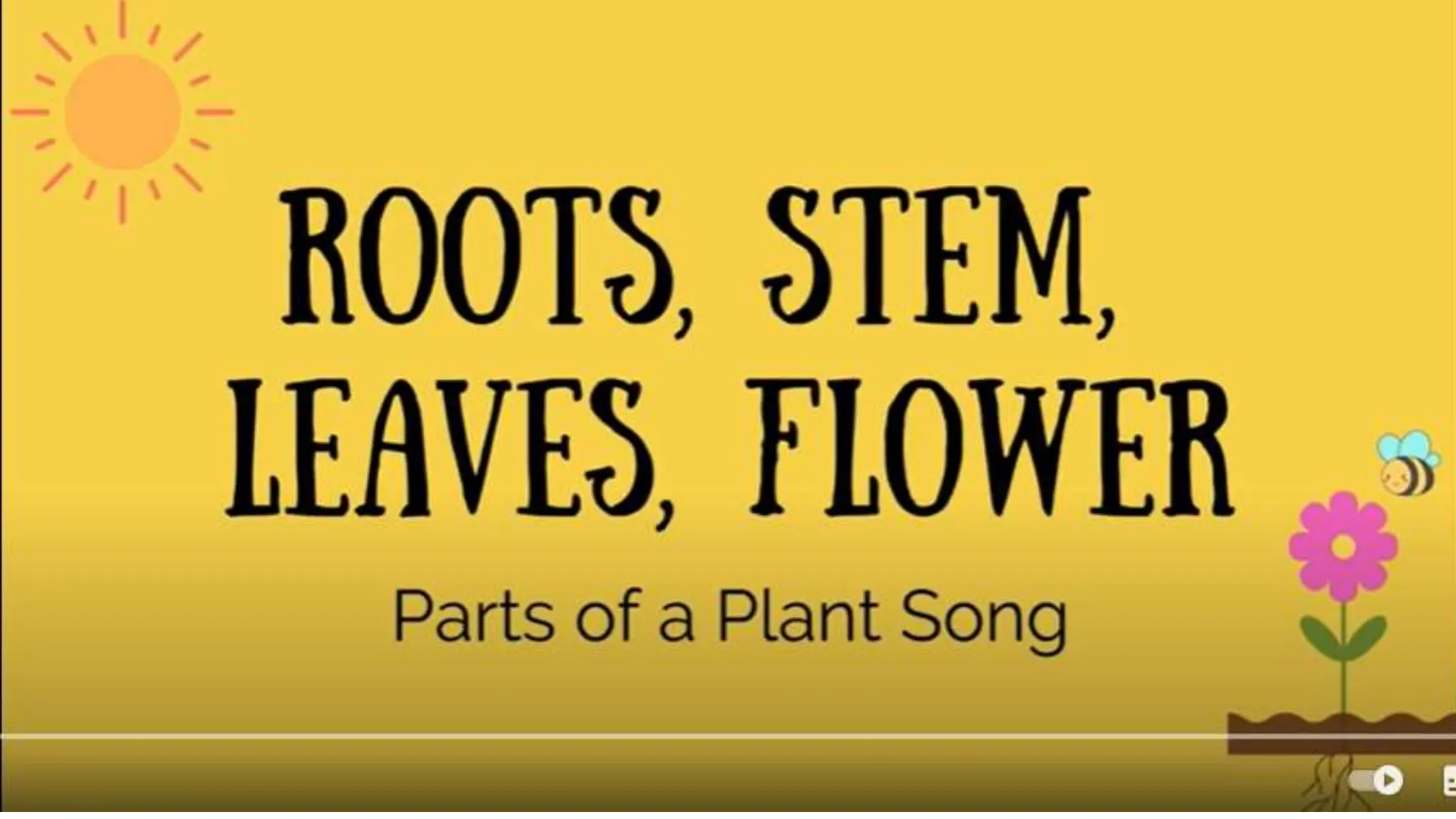 Parts of a Plant. Lesson 1 - WEEK 1.pptx