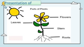 Parts of a Plant(roots, stems, leaves, flowers, and fruits).pptx