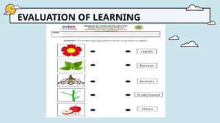 Parts of a Plant(roots, stems, leaves, flowers, and fruits).pptx