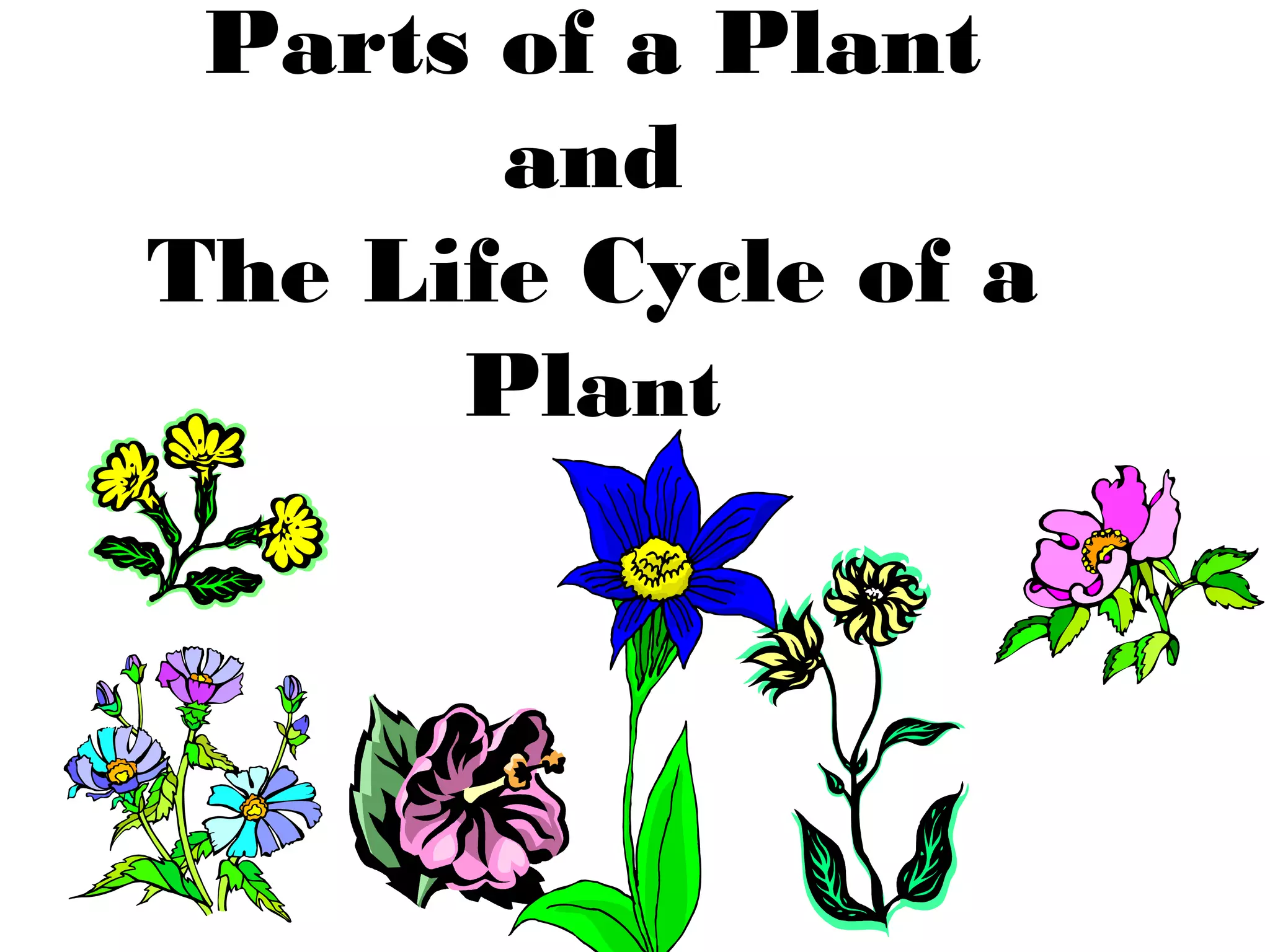 Parts of a plant/plant life cycle (teach) | PPT