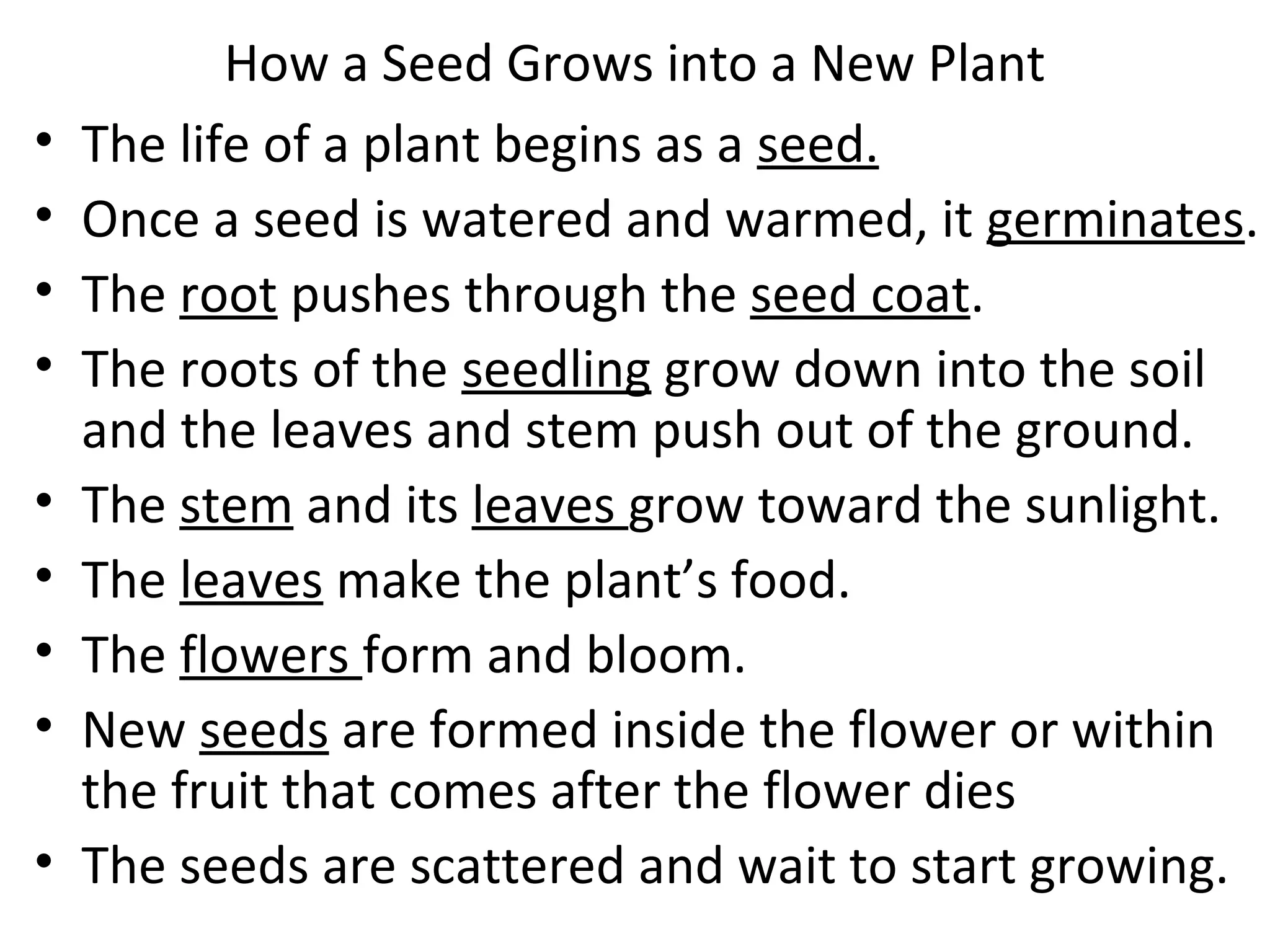 Parts of a plant/plant life cycle (teach) | PPT
