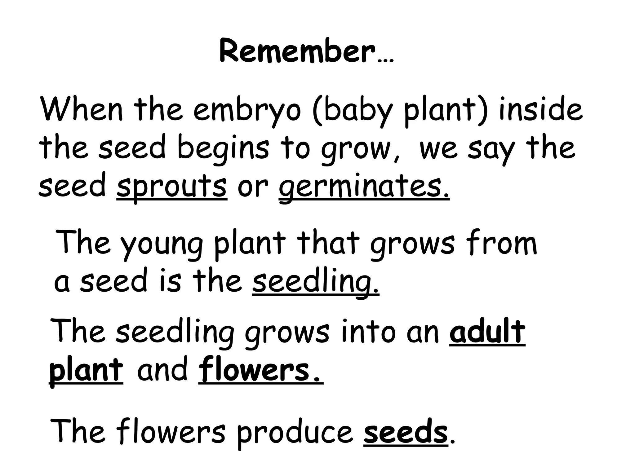 Parts of a plant/plant life cycle (teach) | PPT