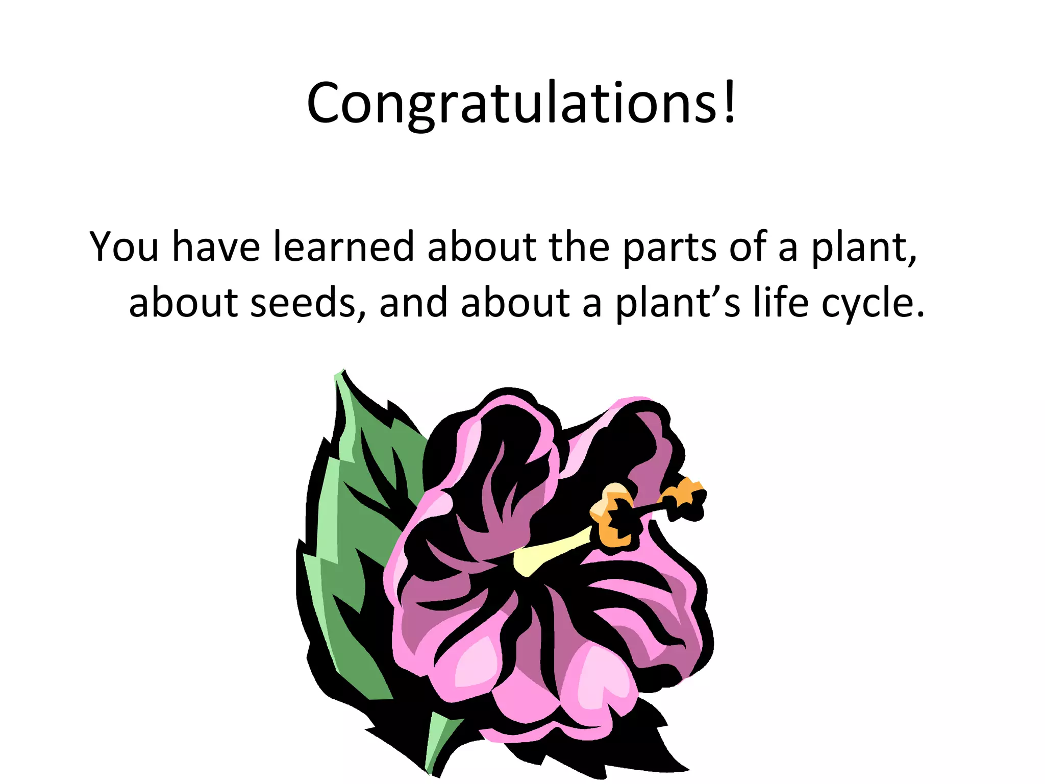Parts of a plant/plant life cycle (teach) | PPT