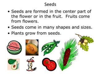 Parts of a plant/plant life cycle (teach) | PPT