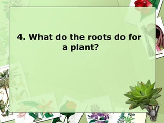 Parts of a plant power point | PPT